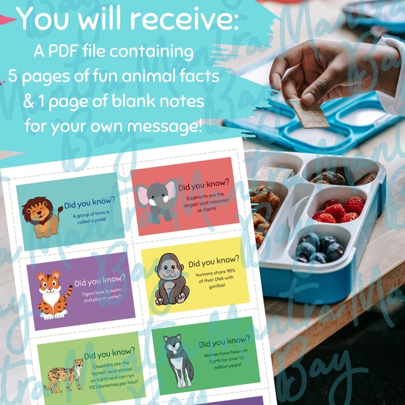 40 Printable Animal Fun Facts Lunch Box Notes for Kids, Printable ...