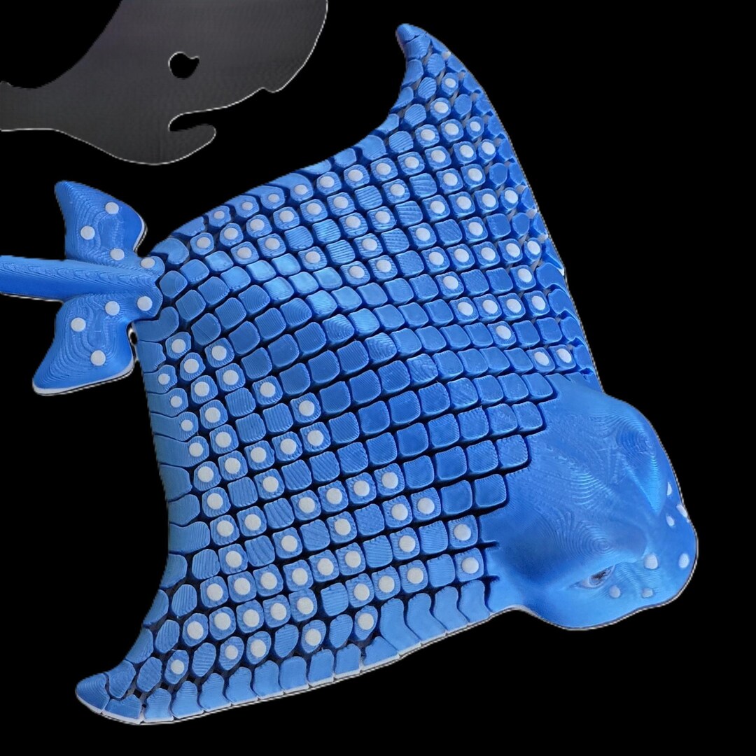 Sea Life Fidgets - Etsy