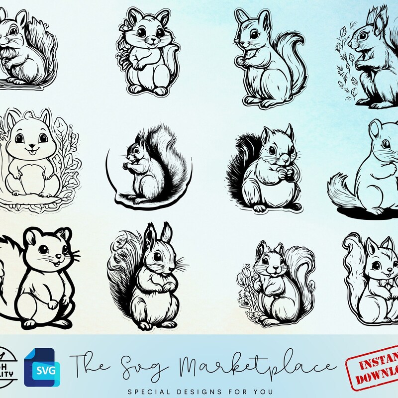 Squirrel Svg - Etsy