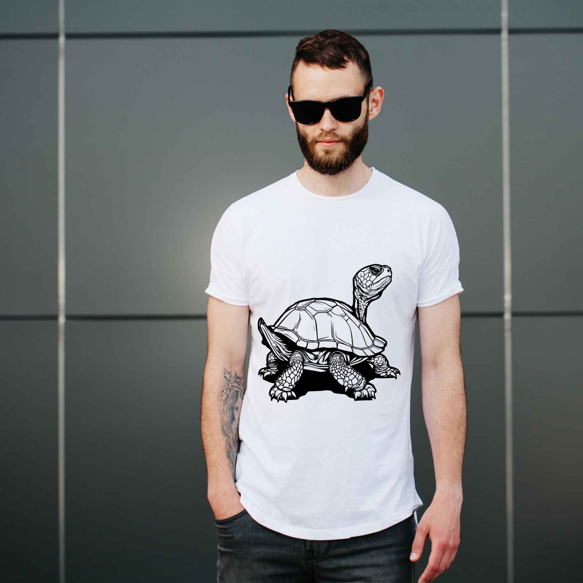 Box Turtle SVG & PNG Bundle - 8 Charming Nature-inspired Vector ...