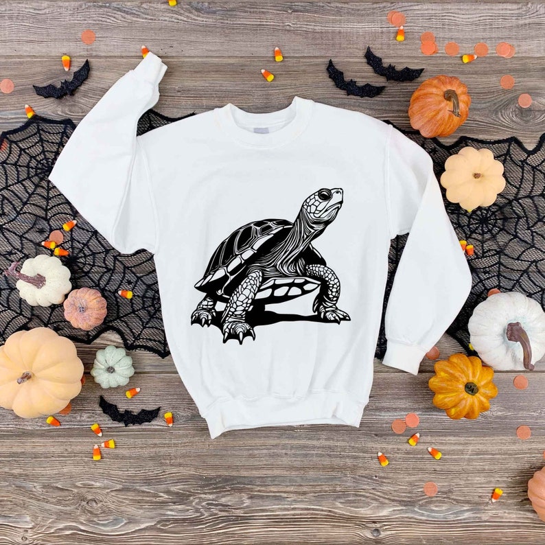 Box Turtle SVG & PNG Bundle 8 Charming Nature-inspired Vector ...