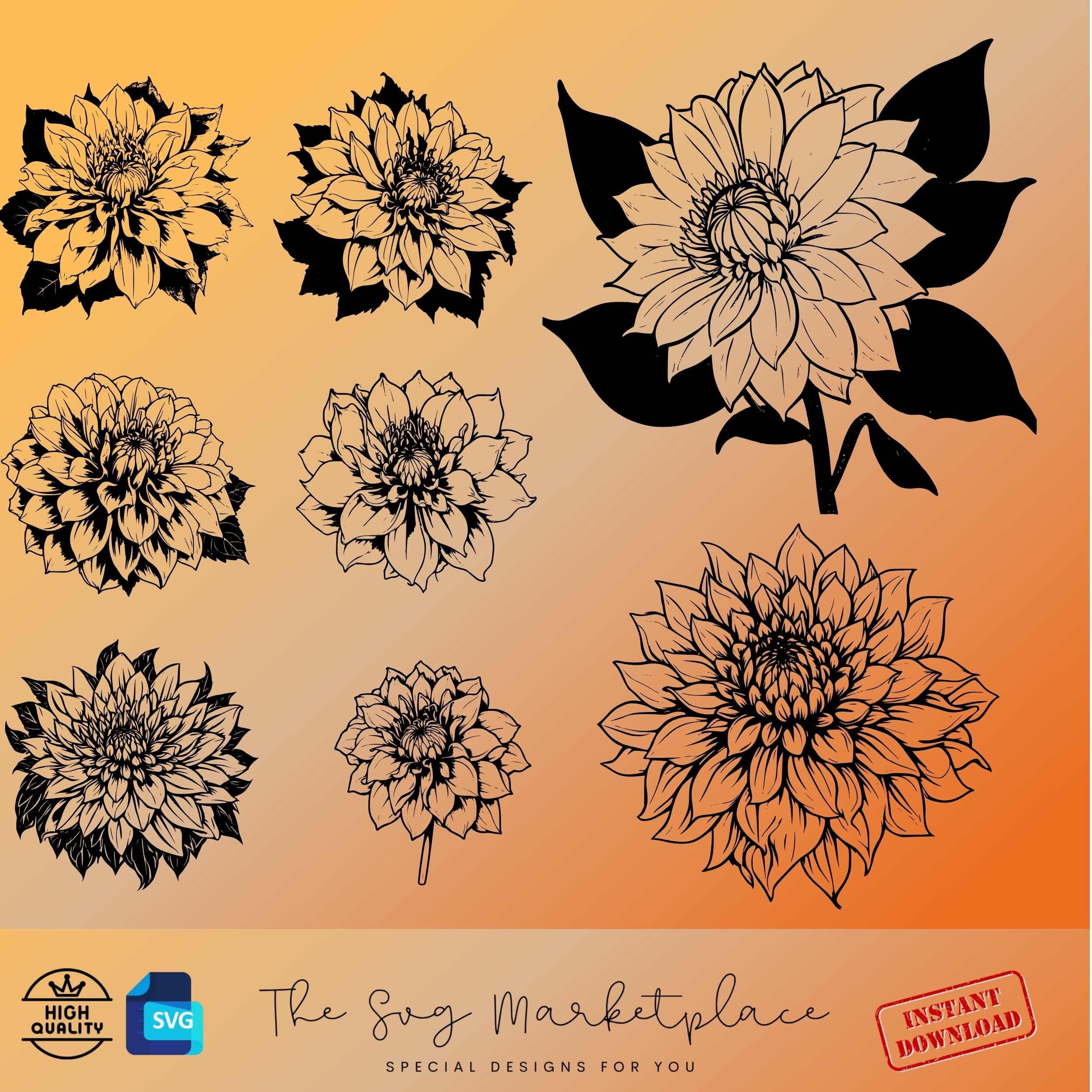 Dahlia Flower SVG & PNG Bundle 8 Unique Floral Designs for Crafting ...