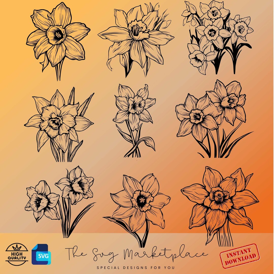 Daffodil SVG & PNG Bundle - 9 Unique Flower Designs for Crafting ...