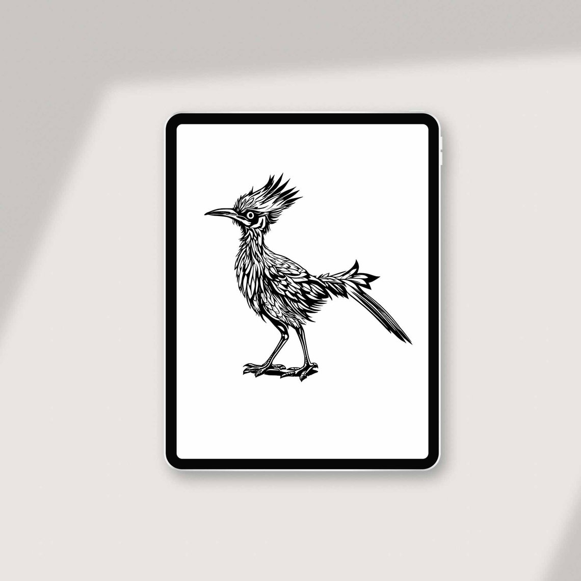 Roadrunner SVG Bundle - 9 Unique Bird Vector Designs - Digital Download ...