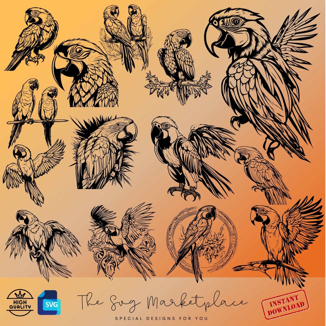 Macaw SVG & PNG Bundle - 14 Exotic Bird Designs, Parrot Clipart ...