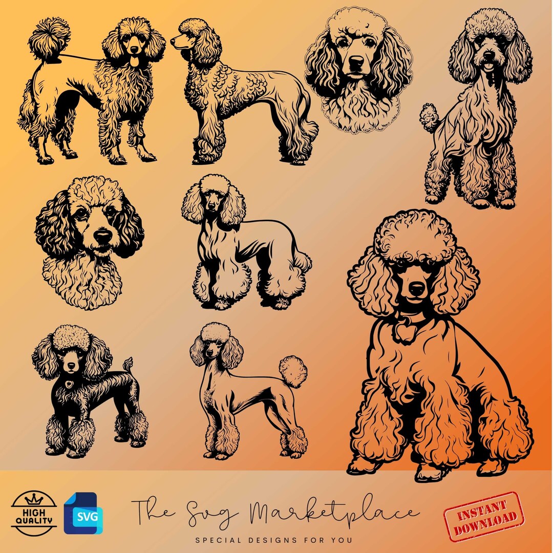 Poodle SVG & PNG Bundle - 9 Charming Poodle Designs for Crafting ...
