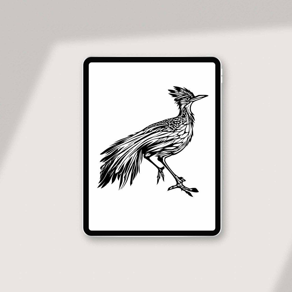 Roadrunner SVG Bundle - 9 Unique Bird Vector Designs - Digital Download ...