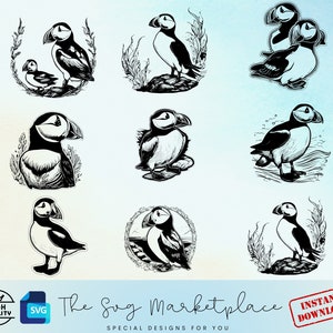 Atlantic Puffin Svg , Atlantic Bird , Puffling Water Bird ,atlantic ...