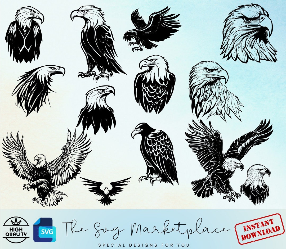 Bald Eagle Svg Bald Eagle Power Bald Eagle PNG Bald Eagle - Etsy