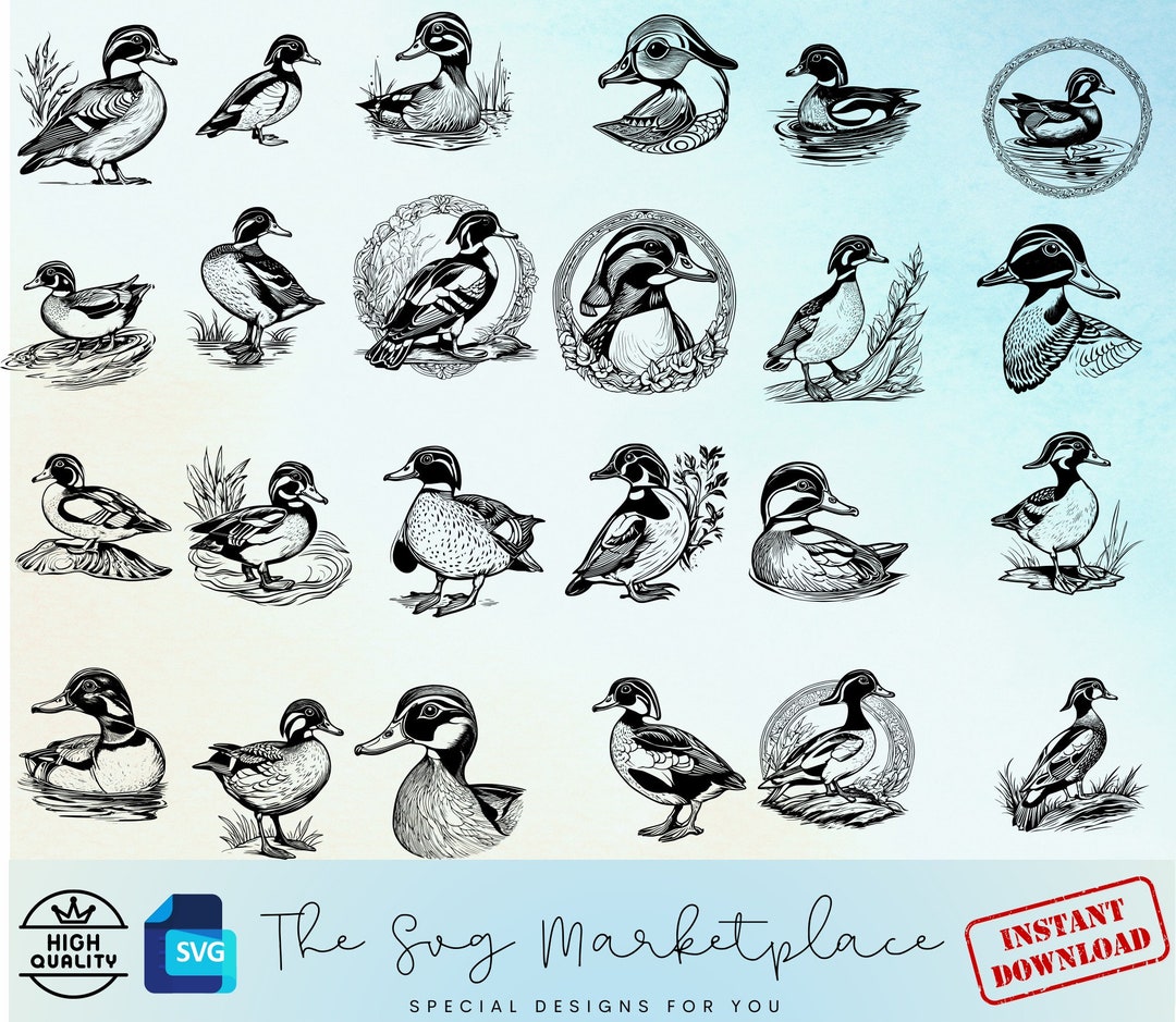 Wood Duck Svg Designs, Wood Duck PNG, Swimming Creatures, Sea Creatures ...