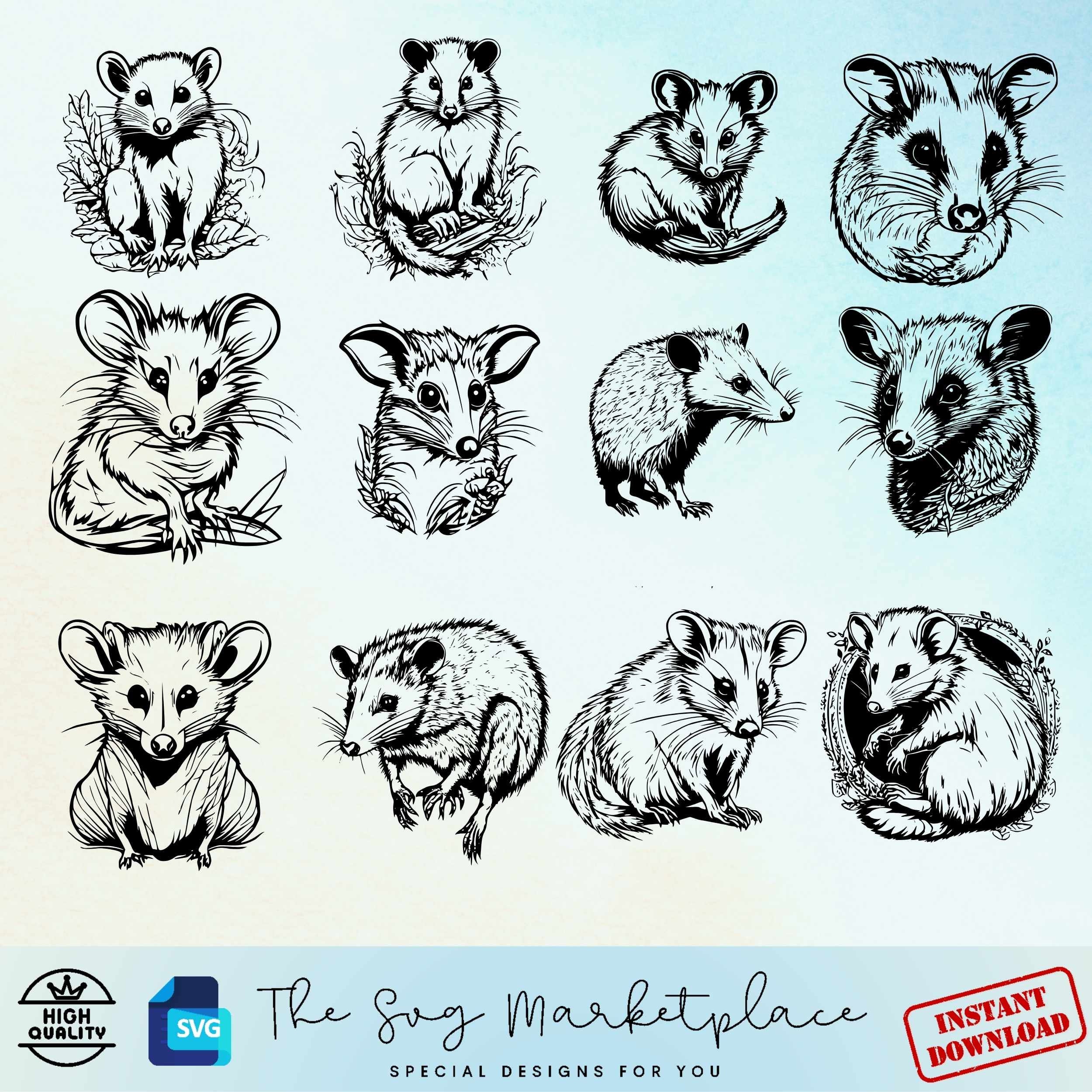 Opossum Digital Art Pack - 12 Charming SVG/PNG Graphics, Ideal for T ...