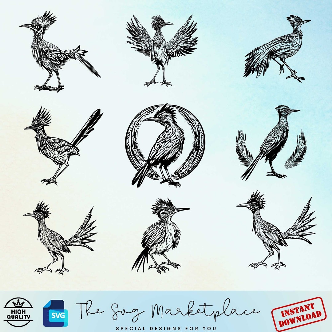 Roadrunner SVG Bundle - 9 Unique Bird Vector Designs - Digital Download ...