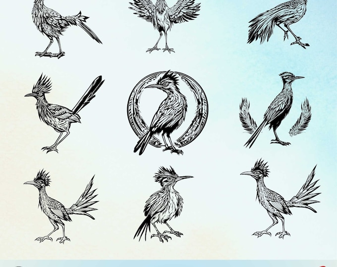 Roadrunner Svg/ Road Runner Svg/birds Svg,/ Southwest Svg, /desert ...
