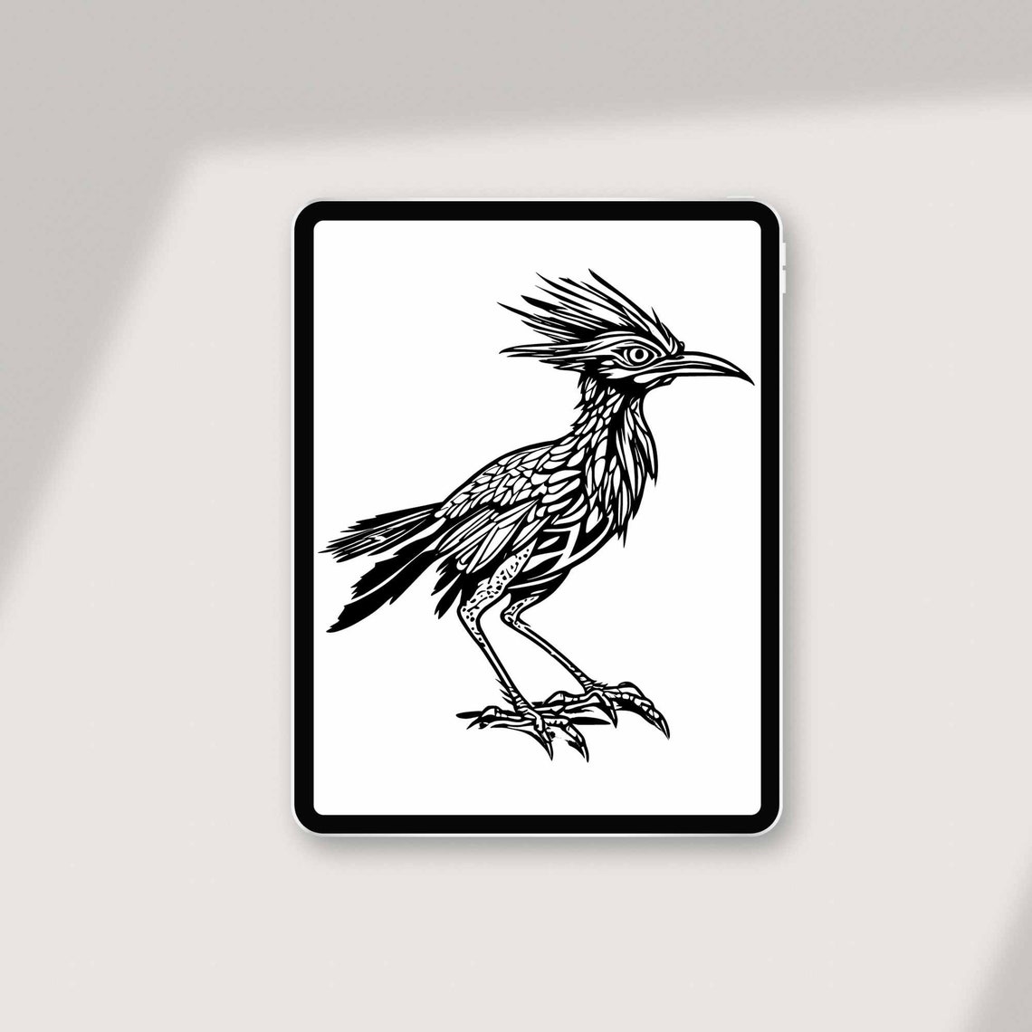 Roadrunner SVG Bundle - 9 Unique Bird Vector Designs - Digital Download ...