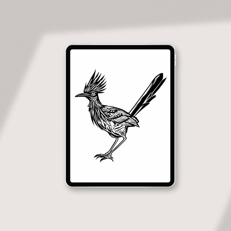Roadrunner SVG Bundle - 9 Unique Bird Vector Designs - Digital Download ...