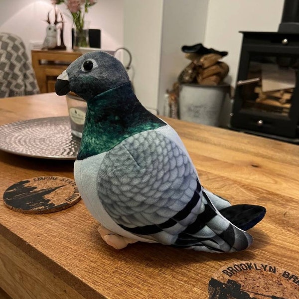 Pigeon Plush - Etsy Australia