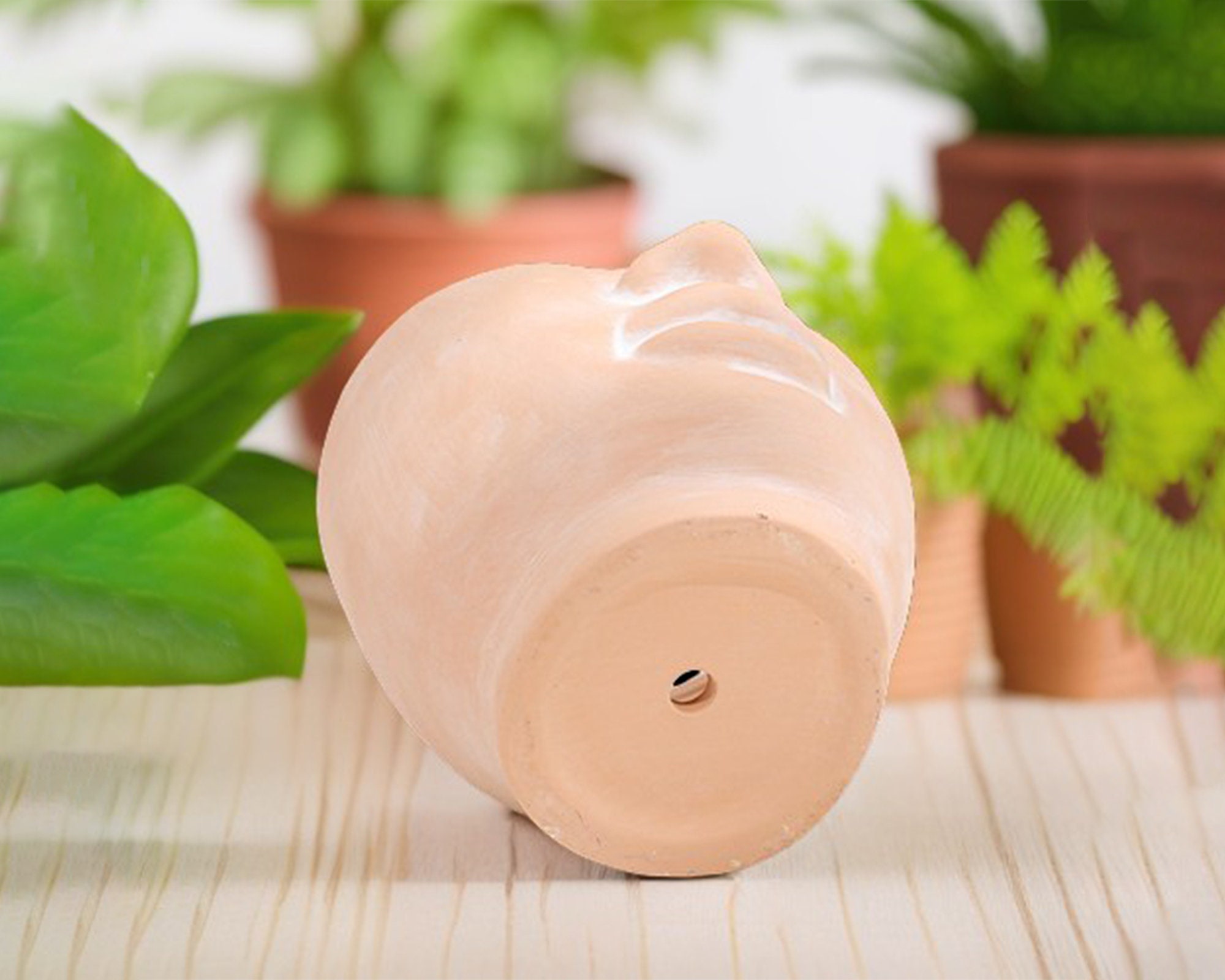 Booty Terracotta Ceramic Pot, Face Ceramic Pot, Minimalist, Nordic ...