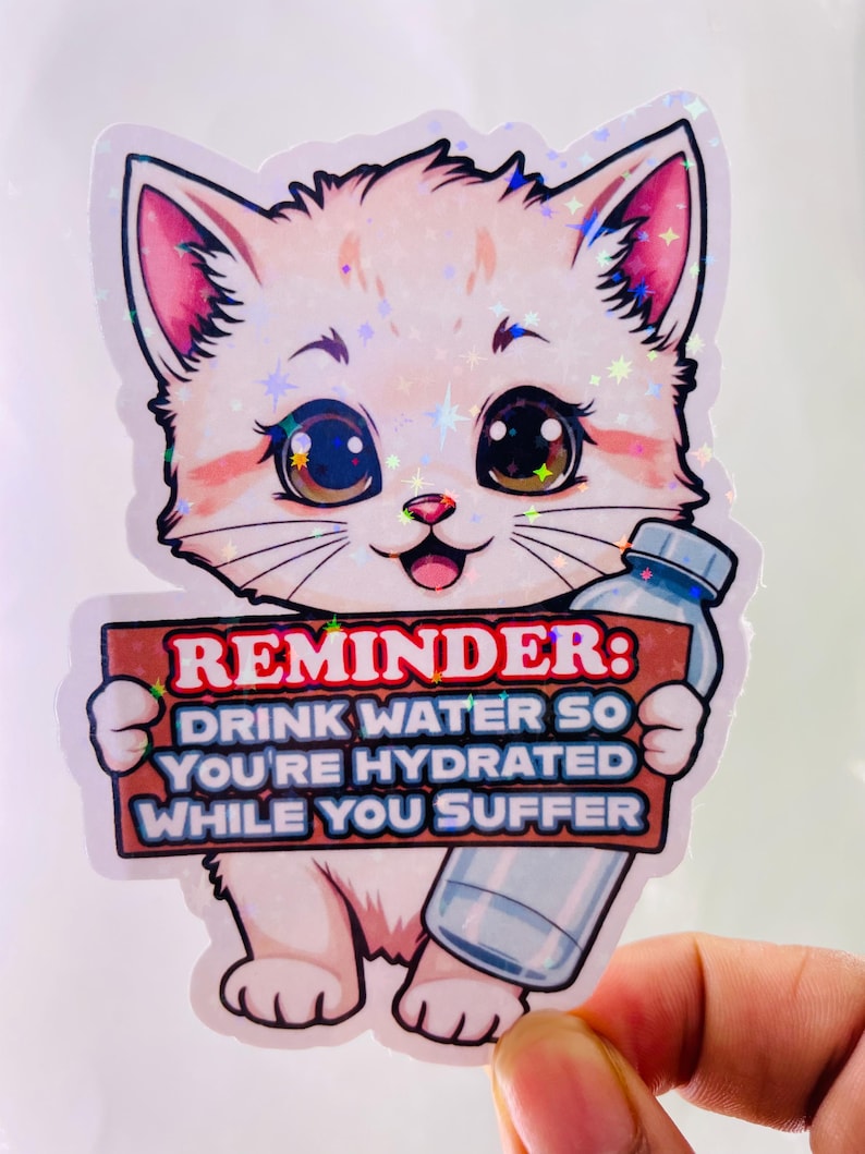 10pcs Funny Inspirational Kitten Sticker Bundle, for Adults, Dark Humor ...