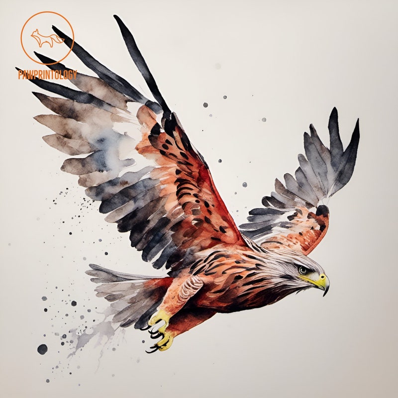 Red Kite Bird Wall Art - Etsy