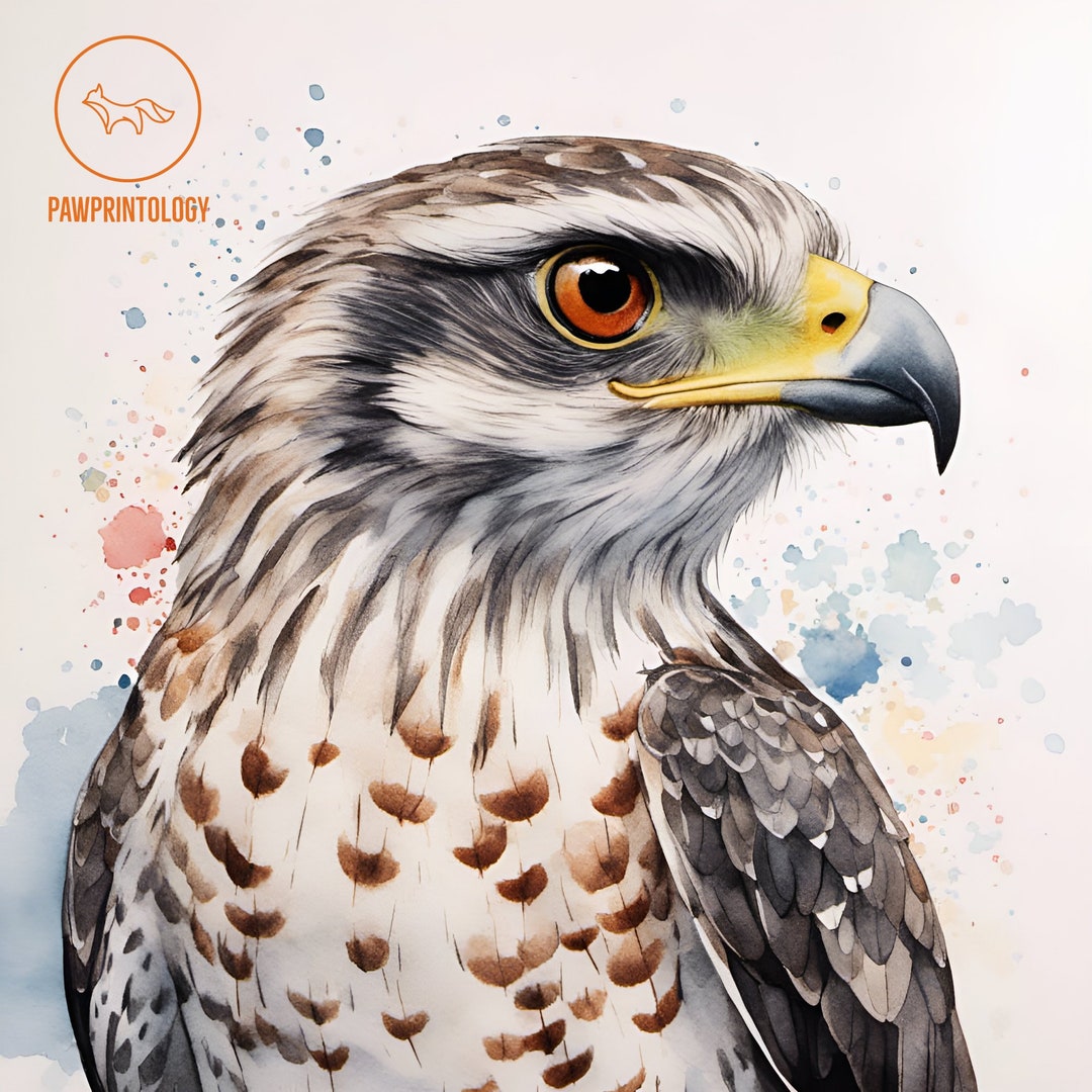 Hawk Bird Wall Art, Birds of Prey Printable Art, Goshawk Watercolor ...