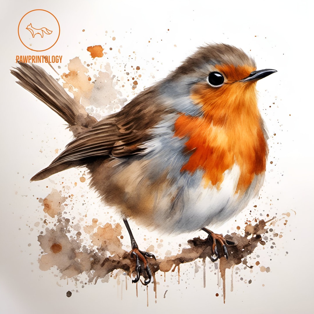 Robin Print Watercolor Collection, Garden Robin Painting. Country Birds ...