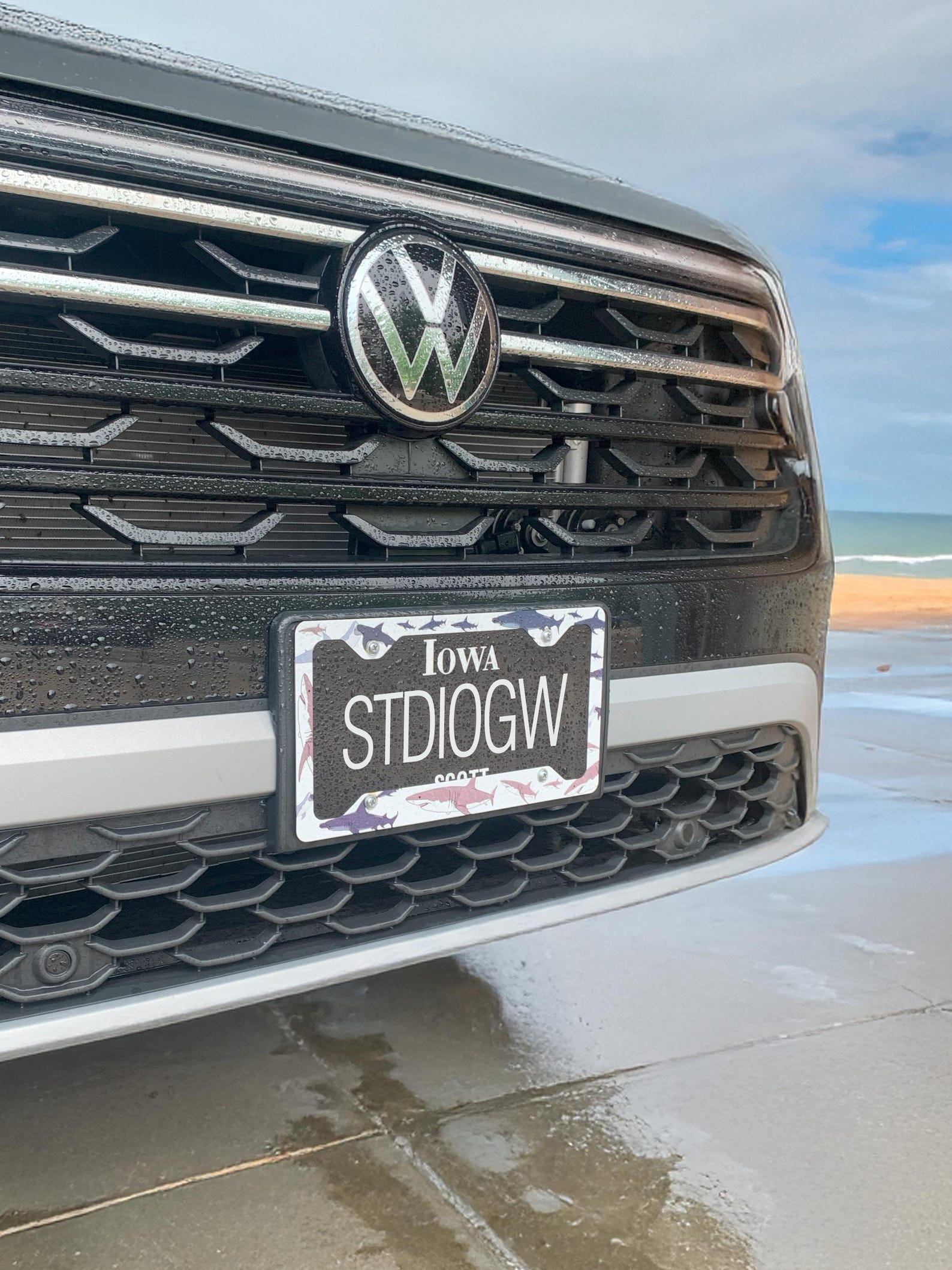 Shark License Plate Frame, Metal License Plate Frame - Etsy
