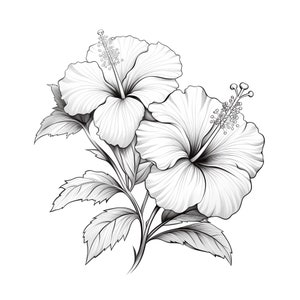 Procreate Hibiscus Flower Stamps | 100+ Hibiscus Flower Procreate ...