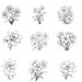 Procreate Daffodils Flower Stamps 100 Daffodils Flower Procreate ...