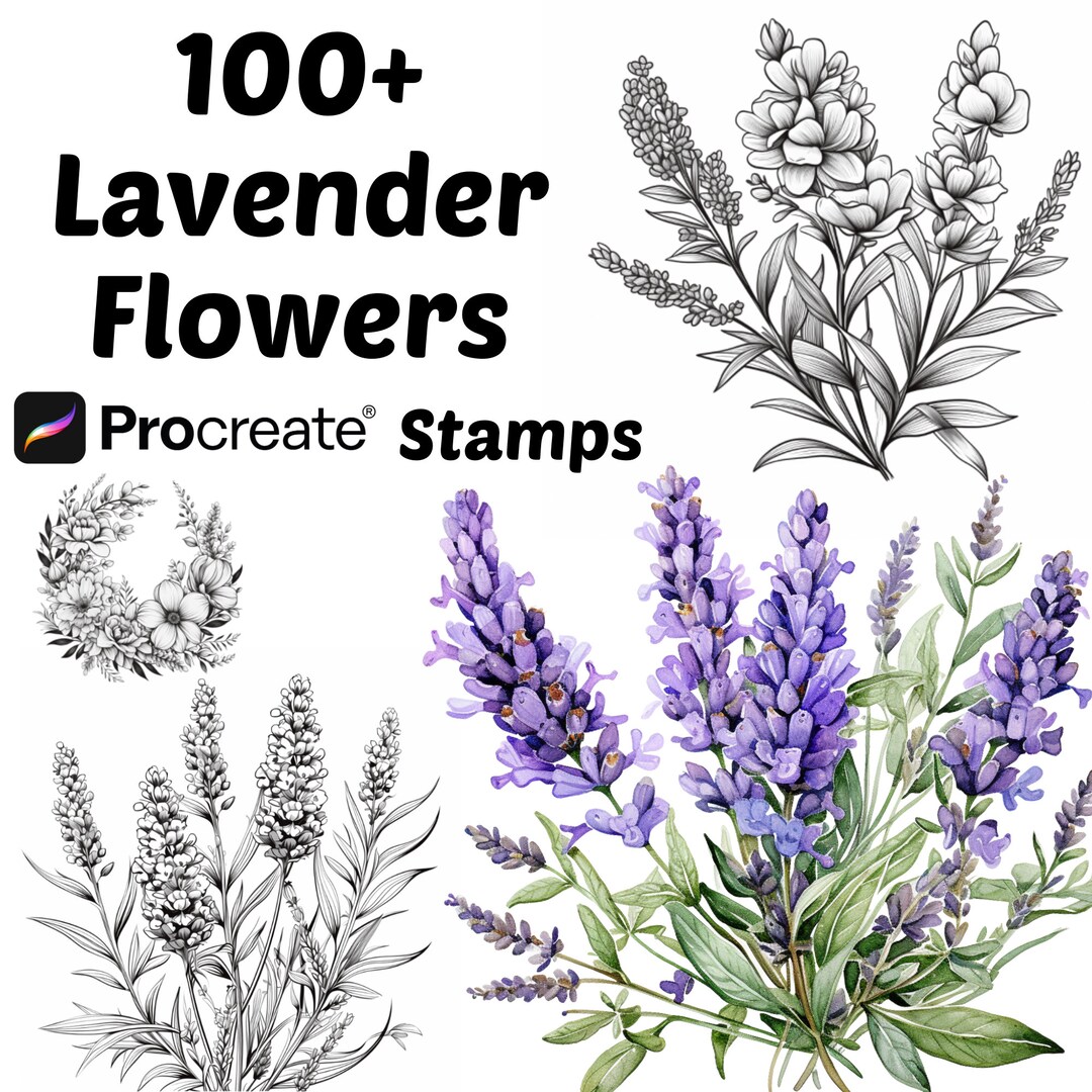 Procreate Lavender Flower Stamps | 100+ Lavender Flower Procreate ...