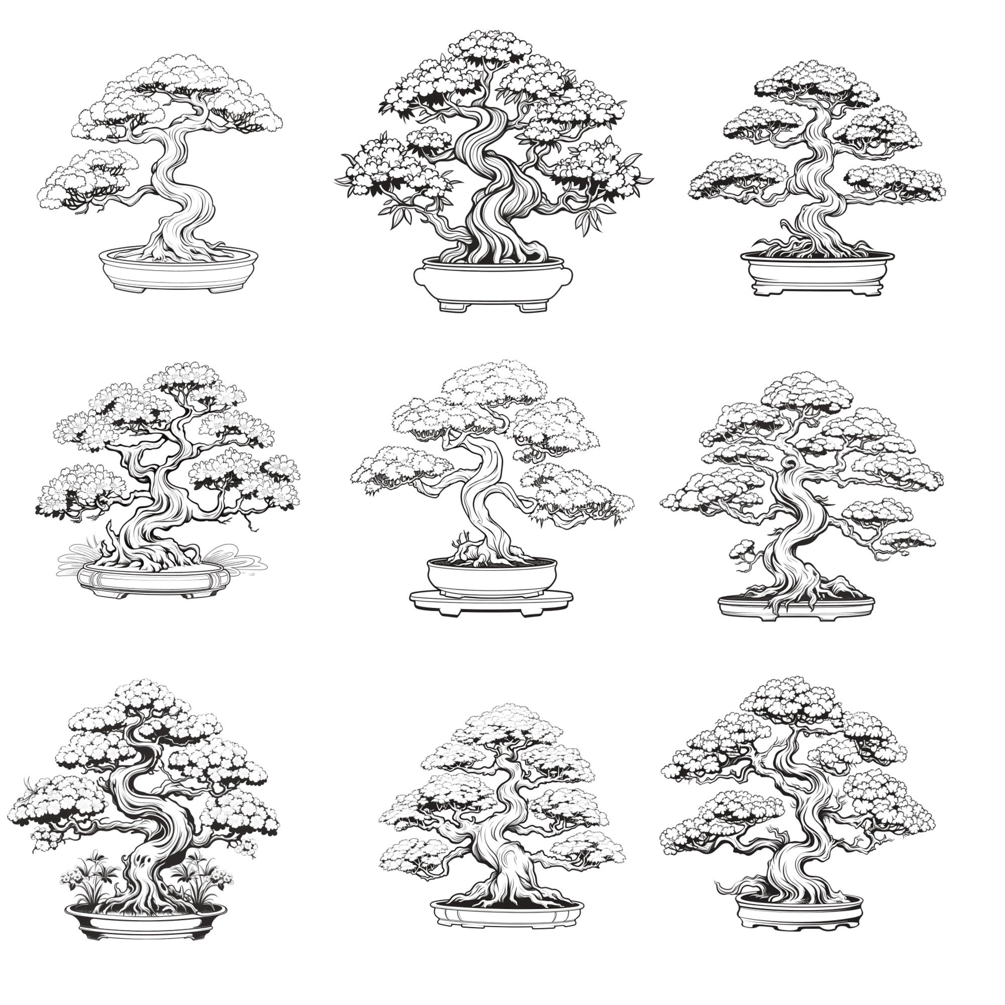 Procreate Bonsai Trees Stamps 100 Trees Procreate Brushes Botanical ...