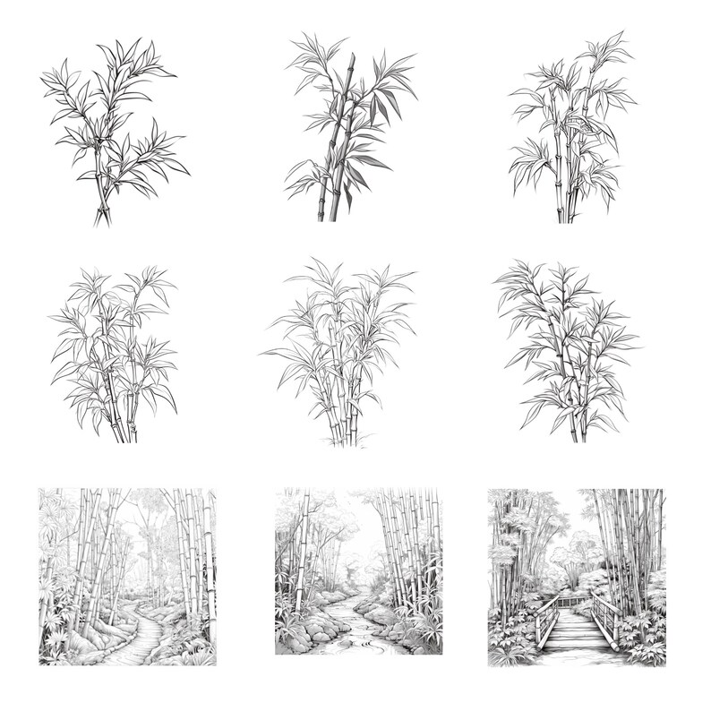 Procreate Bamboo Plant Stamps | 100+ Bamboo Plants Procreate Brushes ...