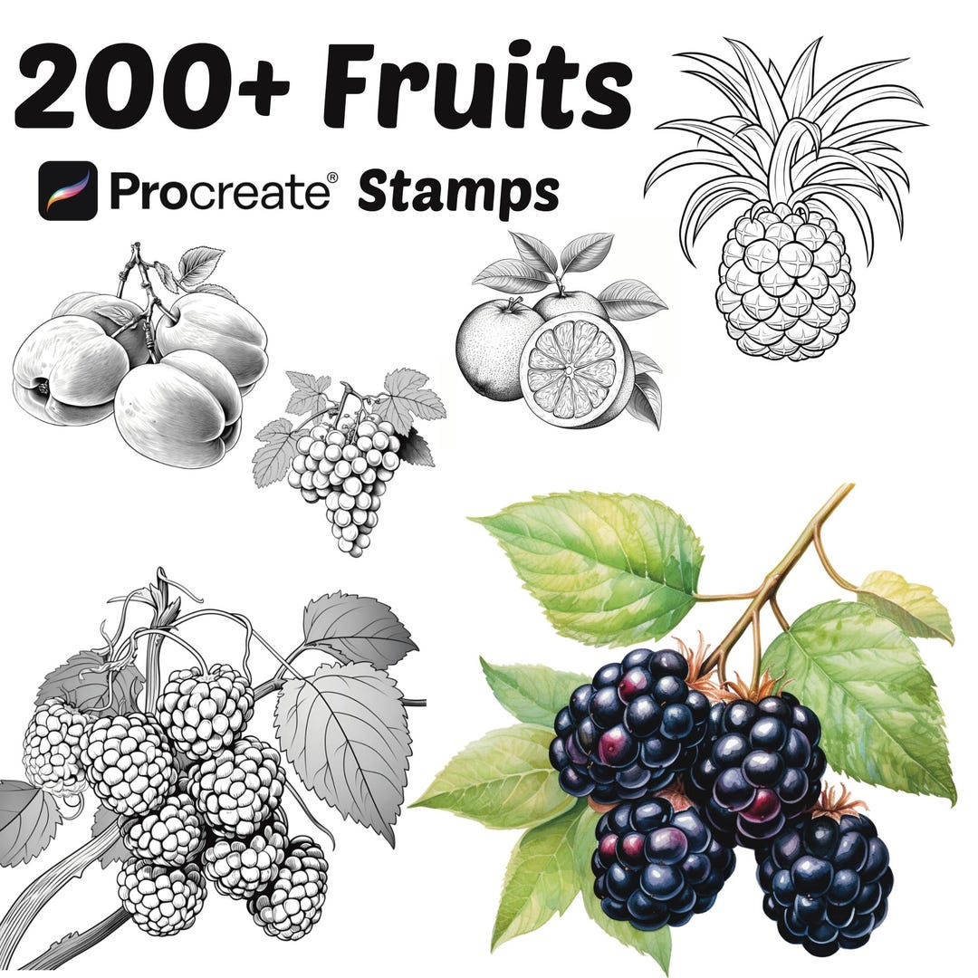 Procreate Fruits Stamps | 200+ Fruits Procreate Brushes | Food ...