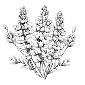 Procreate Bluebonnet Flower Stamps | 50+ Bluebonnet Flower Procreate ...