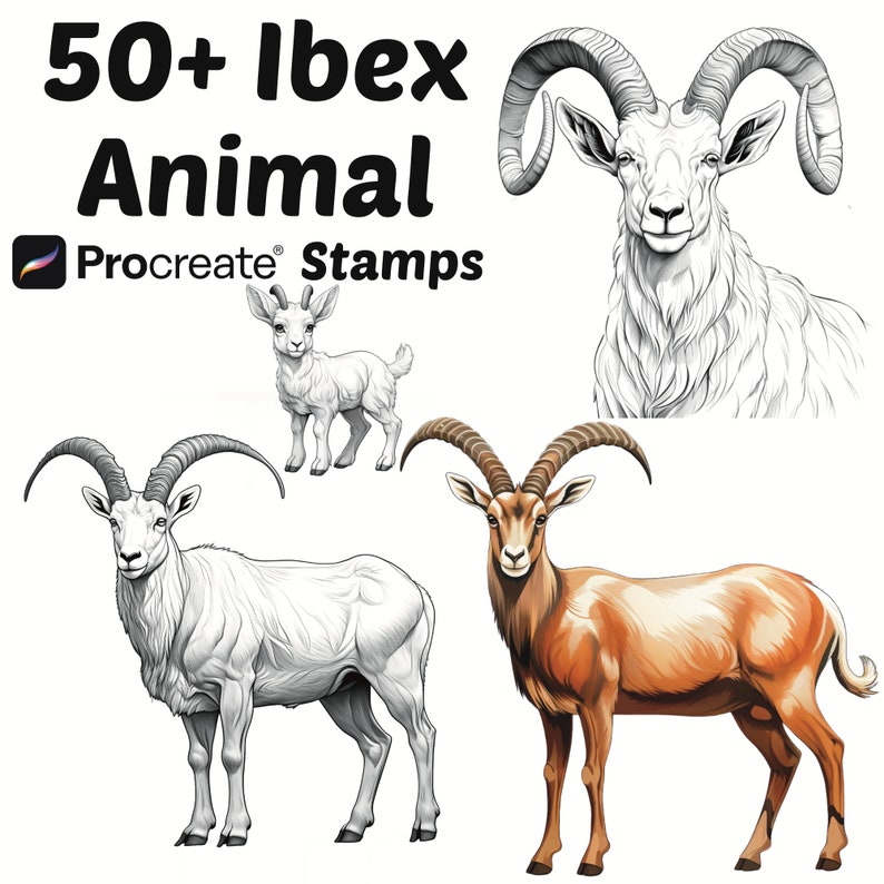 Procreate Animals Stamps | 50+ Ibex Procreate Brushes | Animal ...