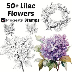 Procreate Lilac Flower Stamps | 50+ Lilac Flower Procreate Brushes ...