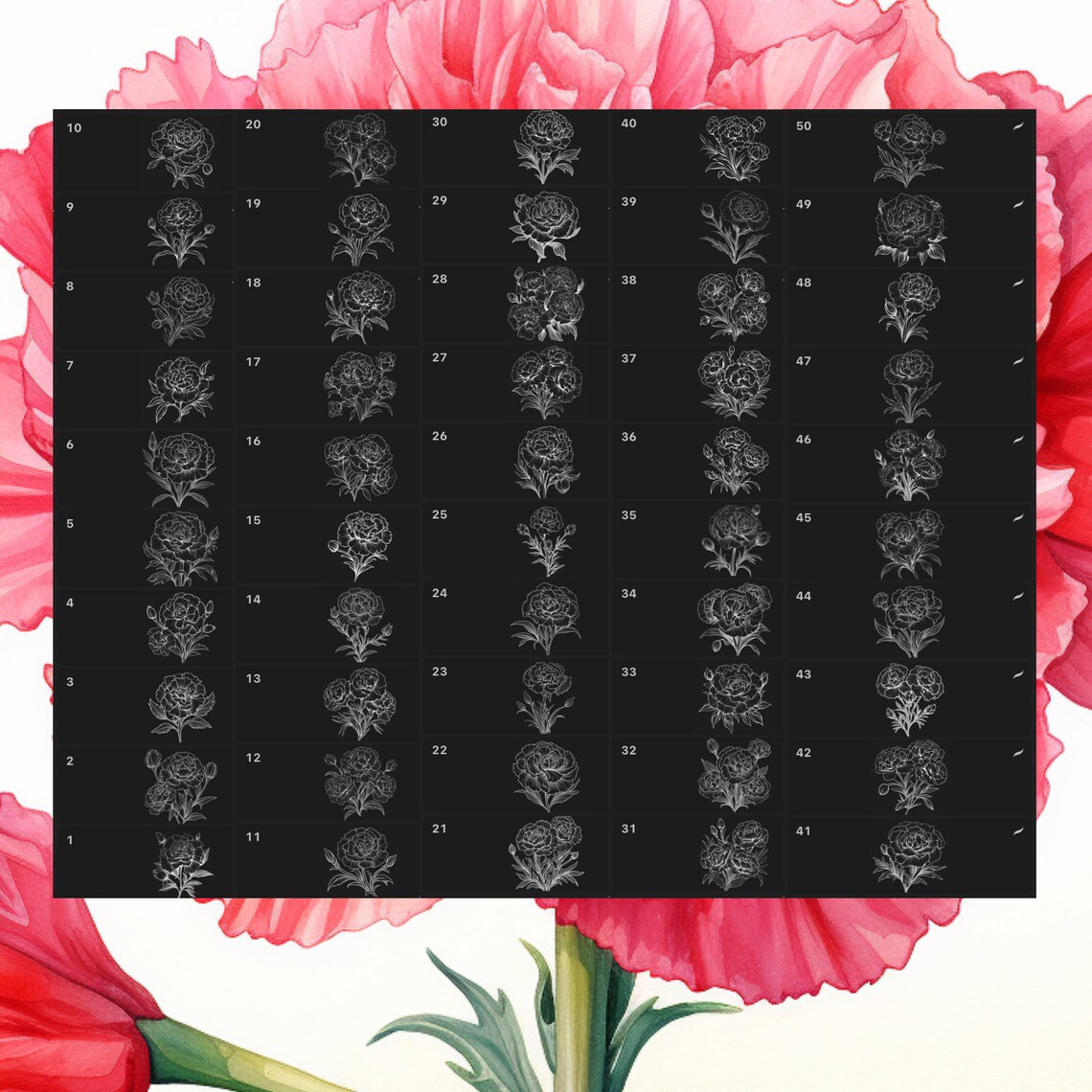 Procreate Carnation Flower Stamps 50 Carnation Flower - Etsy