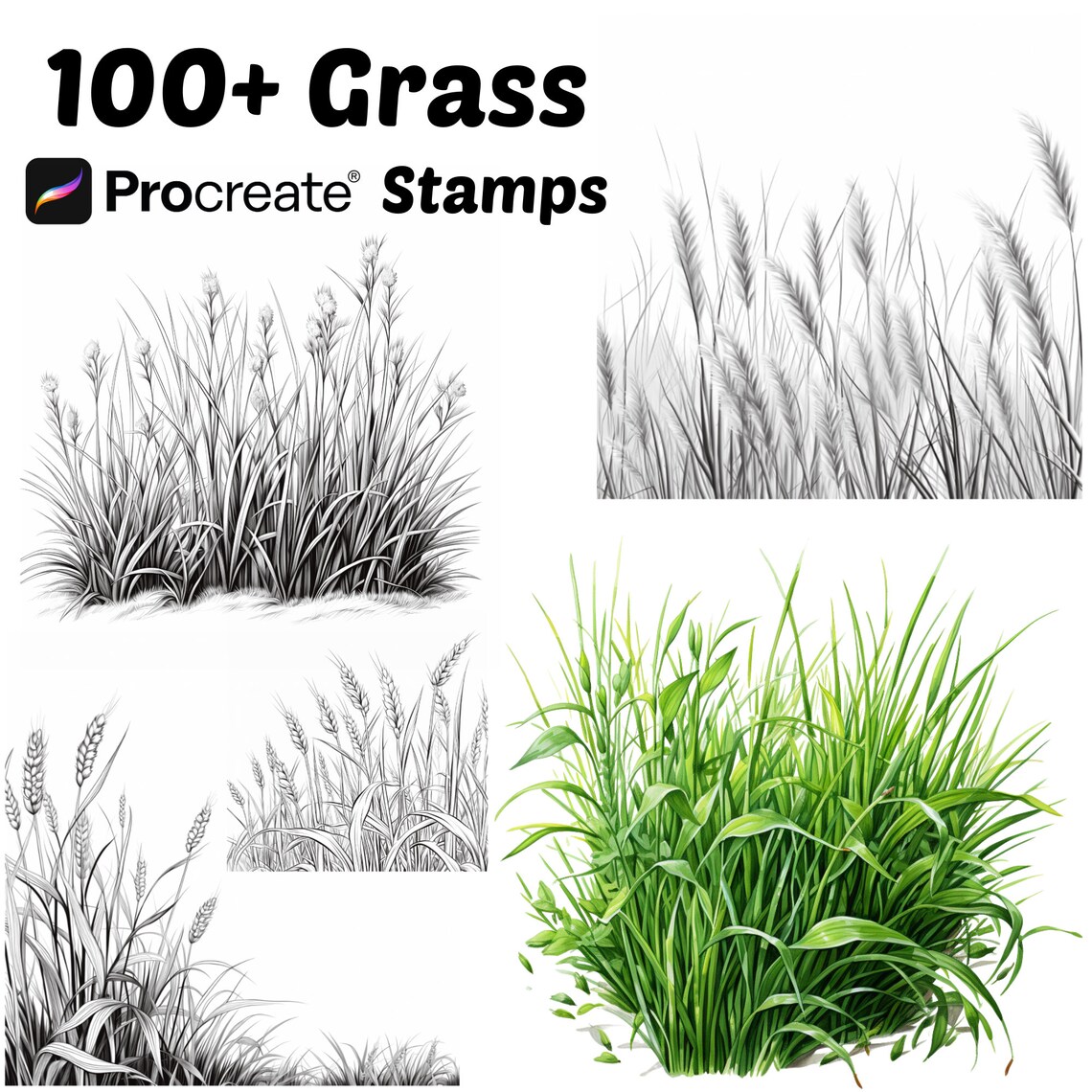 Procreate Grasses Stamps | 100+ Grass Procreate Brushes | Botanical ...