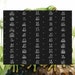 Procreate Animals Stamps 100 Cute Frog Procreate Brushes Frog Animals ...