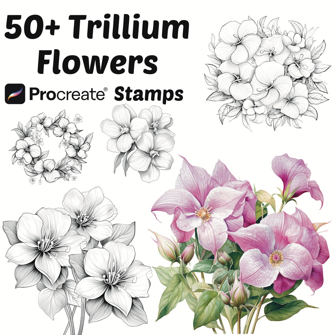 Procreate Trillium Flower Stamps | 50+ Trillium Flower Procreate ...