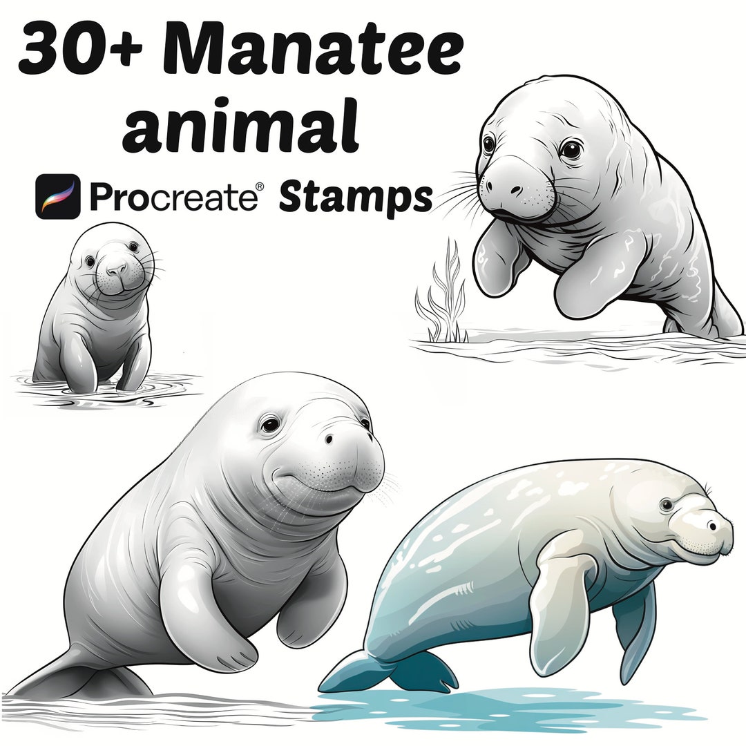 Procreate Animals Stamps | 30+ Manatee Procreate Brushes | Animal ...