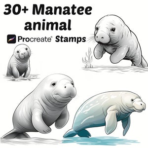 Procreate Animals Stamps | 30+ Manatee Procreate Brushes | Animal ...