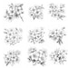 Procreate Hawthorn Flower Stamps | 50+ Hawthorn Flower Procreate ...