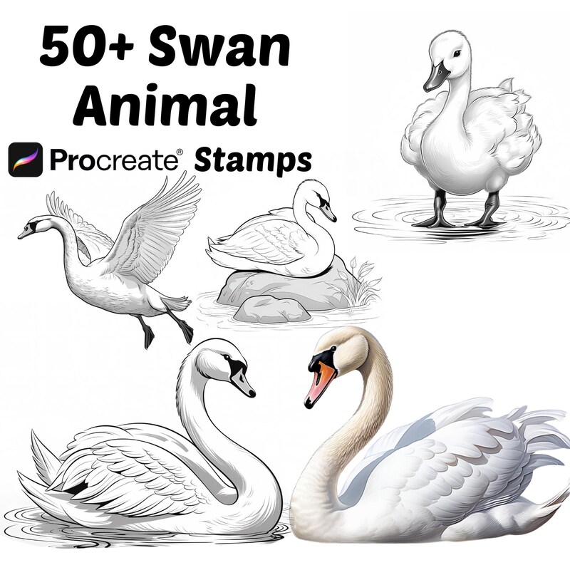 Swan Personalized Stamp - Etsy