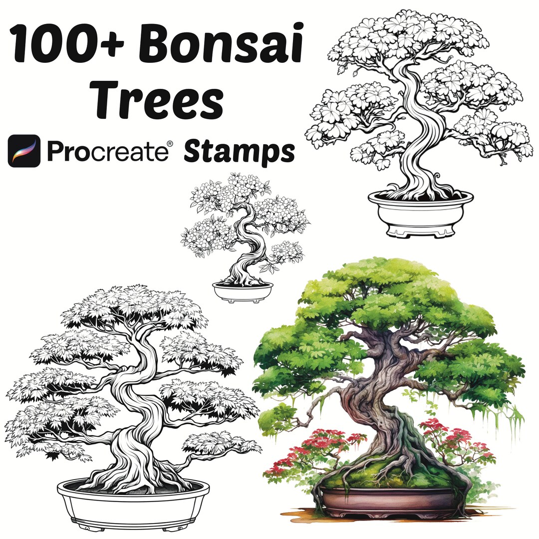 Procreate Bonsai Trees Stamps | 100+ Trees Procreate Brushes ...