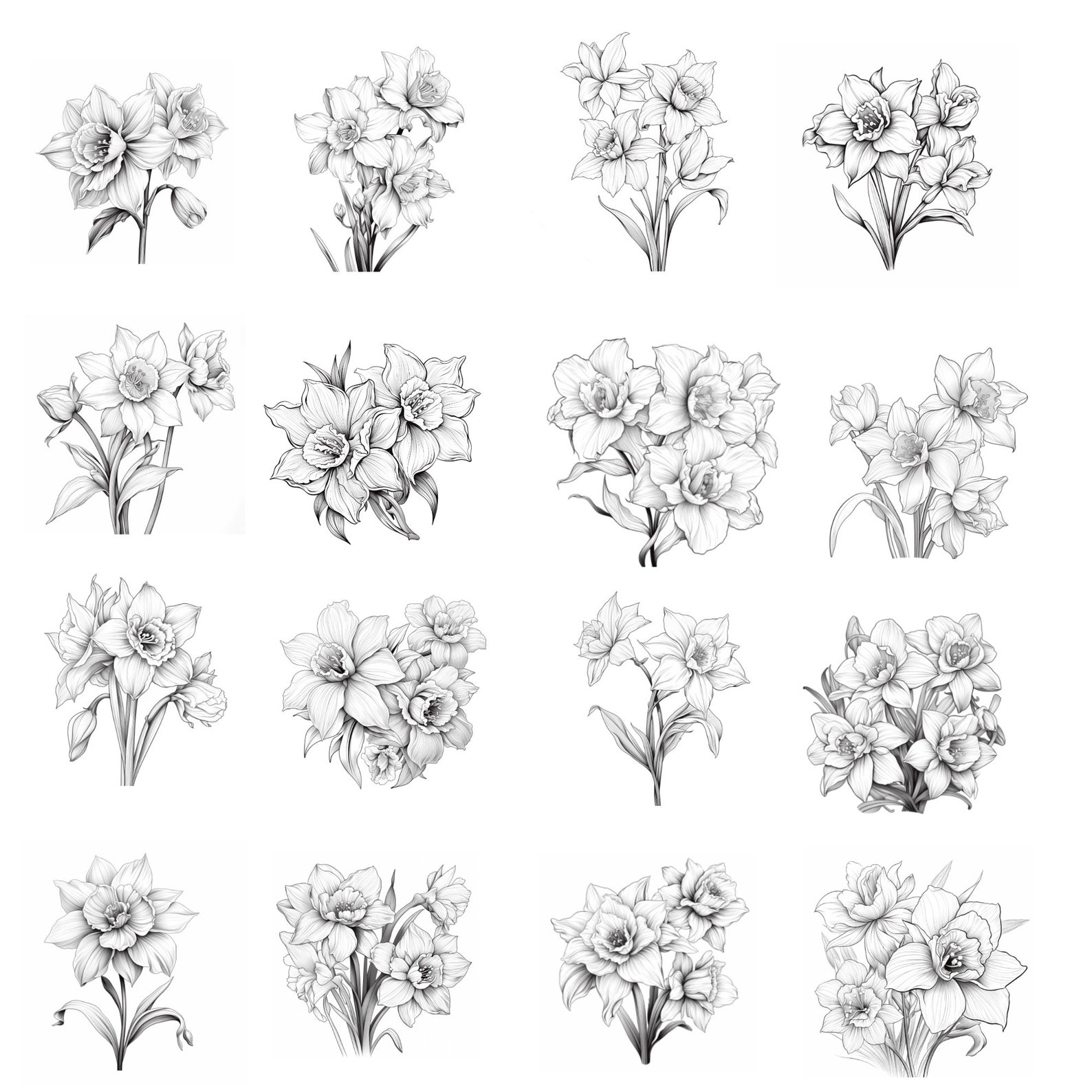 Procreate Daffodils Flower Stamps 100 Daffodils Flower Procreate ...