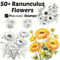 Ranunculus - Etsy