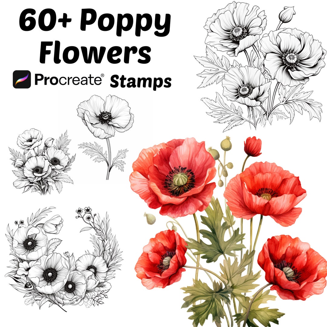 Procreate Poppy Flower Stamps | 50+ Poppy Flower Procreate Brushes ...