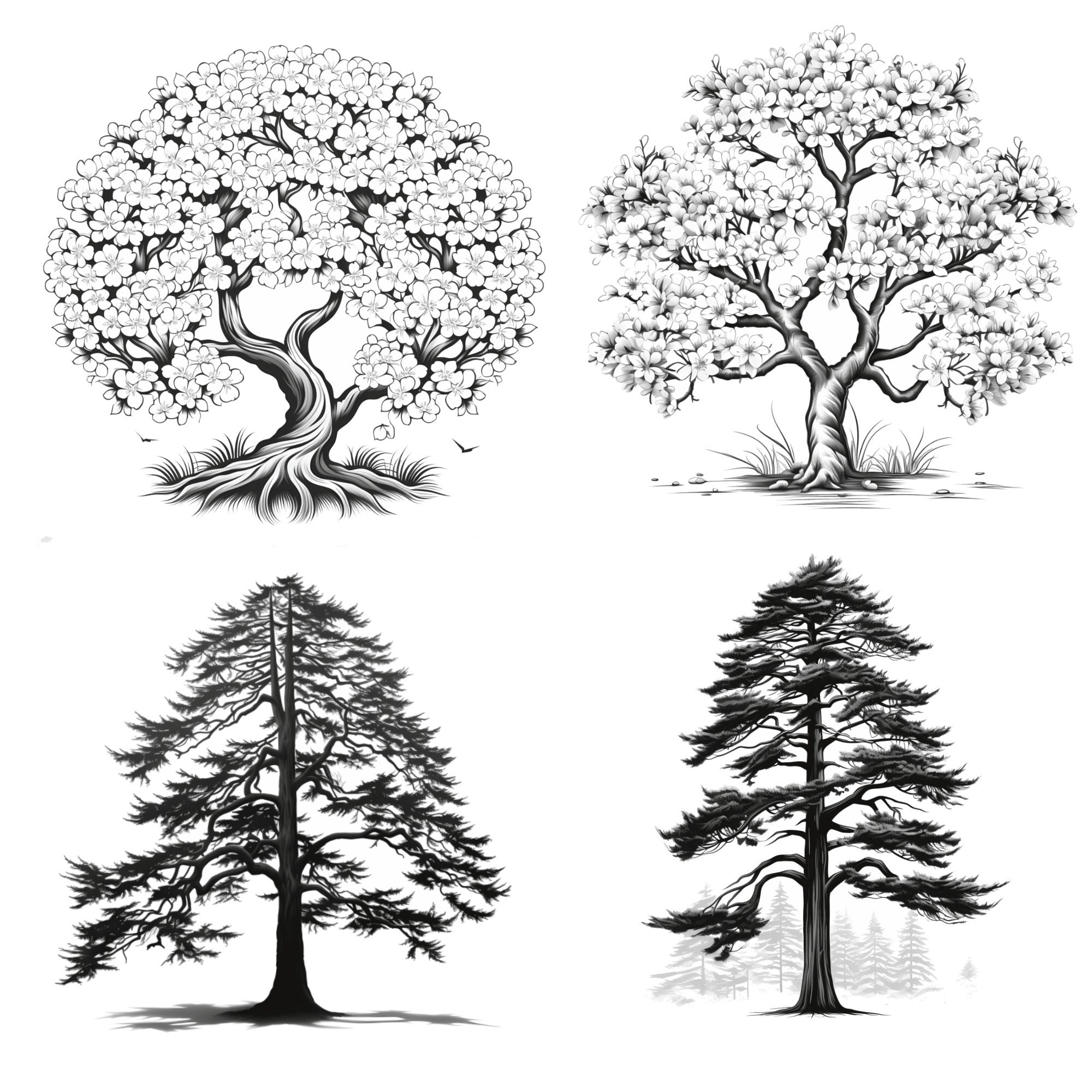Procreate Trees Stamps | 100+ Trees Procreate Brushes | Botanical ...