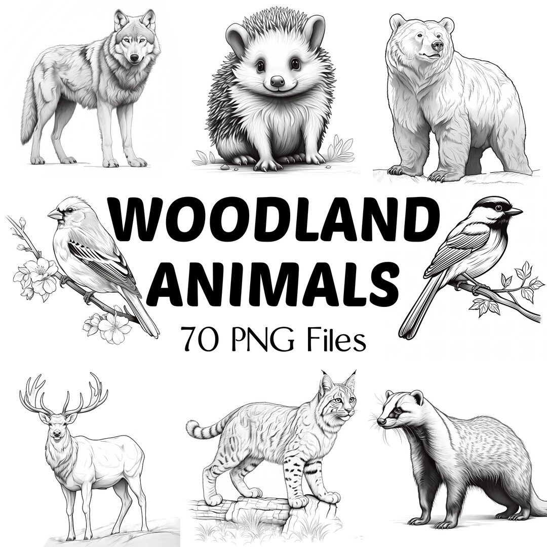 Woodland Animals PNG |70 Woodland Animals Clipart | Hedgehog | Bear ...