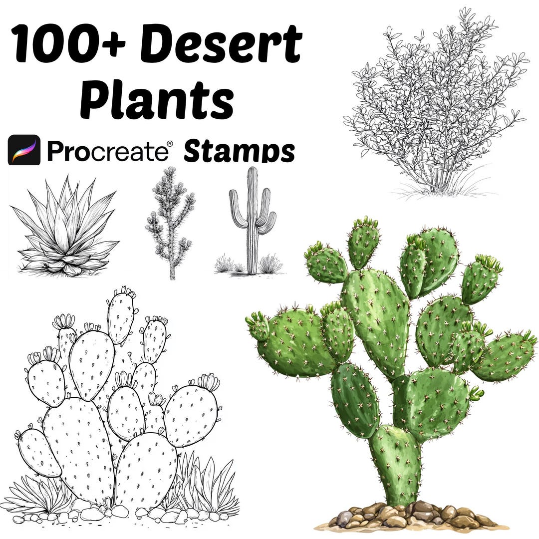 Procreate Desert Plants Stamps | 100+ Plants Procreate Brushes ...